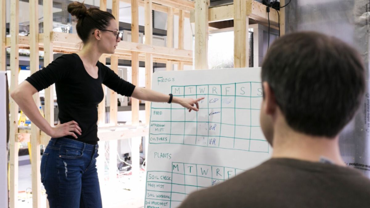 PowerPoint Size Guide: Best Practices for Choosing Slide Dimensions